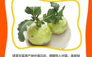 球茎甘蓝图片_球茎甘蓝怎么做好吃