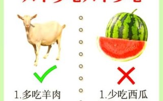 立冬吃什么食物_立冬进补吃什么好