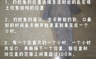 土鲶鱼怎么钓_土鲶鱼钓法技巧