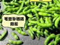 毛豆的营养价值及功效_毛豆可以天天吃吗
