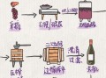 红酒的制作方法过程_家庭自酿葡萄酒步骤