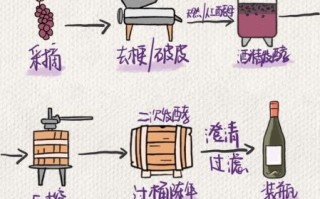 红酒的制作方法过程_家庭自酿葡萄酒步骤