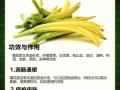 黄花菜有什么功效_孕妇可以吃黄花菜吗