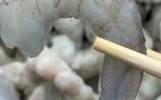 红虾仁和青虾仁的区别_哪个更好吃