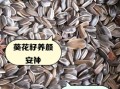 葵花籽的功效与作用_葵花籽怎么吃最健康