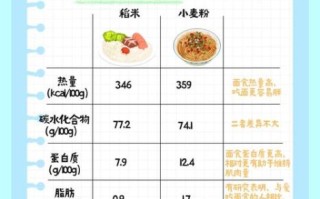 米饭和面食哪个热量高_减肥吃哪个更好