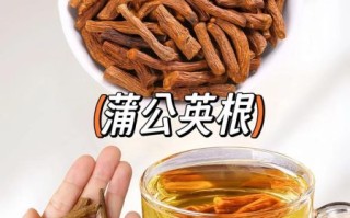 蒲公英能治疗胆结石吗_胆结石喝蒲公英根茶多久见效