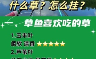 钓草鱼用什么饵料_草鱼钓位怎么选