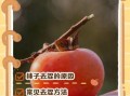 柿子怎么吃不涩_柿子去涩最快的方法
