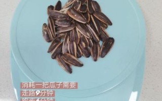 瓜子热量算壳吗_带壳瓜子热量实测