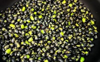 生黑豆可以直接泡醋吗_生黑豆泡醋的正确方法