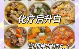 白细胞低吃什么好_白细胞低吃什么食物