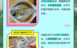 平鱼和鲳鱼的区别_怎么区分平鱼和鲳鱼