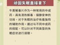 牛黄解毒片为什么被禁_牛黄解毒片副作用有哪些