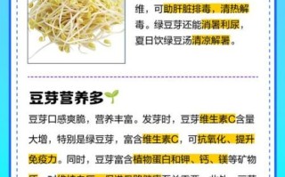 黄豆芽的功效与作用禁忌_什么人不能吃