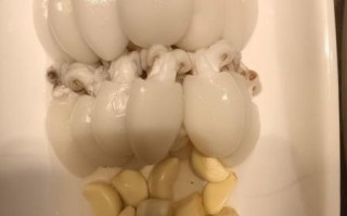 目鱼仔怎么做好吃_目鱼仔的家常做法