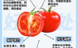 西红柿的营养价值及功效_西红柿生吃还是熟吃更营养