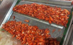 冰冻龙虾尾怎么做好吃_冰冻龙虾尾的家常做法