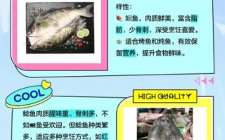 肥鲶鱼图片_如何分辨真假