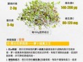 芽苗菜怎么种_芽苗菜营养价值