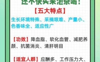 雪菊的功效与作用价格_多少钱一斤