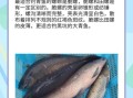 螺蛳青是什么鱼_螺蛳青和草鱼的区别