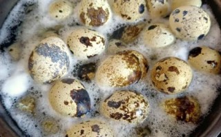 煮鹌鹑蛋的做法_鹌鹑蛋怎么煮才入味