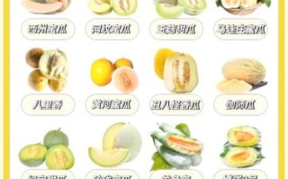 哈密瓜热量多少卡_减肥能吃吗