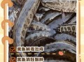 野生黑鱼怎么做好吃_野生黑鱼的家常做法