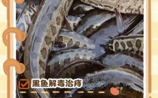 野生黑鱼怎么做好吃_野生黑鱼的家常做法