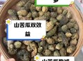 苦瓜降血糖真的有用吗_苦瓜哪些人不能吃
