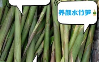 水笋的功效与作用_水笋的禁忌有哪些