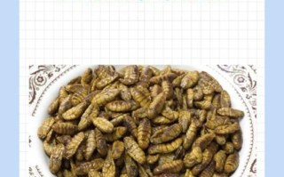 蚕蛹怎么做好吃_家庭版蚕蛹做法