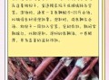 鹿鞭泡酒的最佳配方_鹿鞭酒泡多久能喝