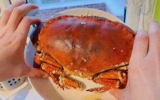 面包蟹怎么蒸才鲜嫩_面包蟹做法视频窍门