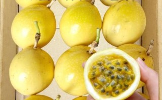 黄金百香果的功效与禁忌_哪些人不能吃