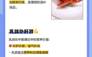 乳鸽的营养价值_乳鸽的功效与作用