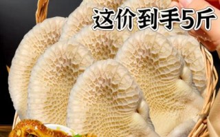生羊肚煮多长时间能熟_羊肚焯水多久才脆嫩
