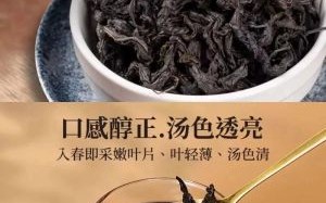 杜仲茶多少钱一斤_杜仲茶价格差异原因