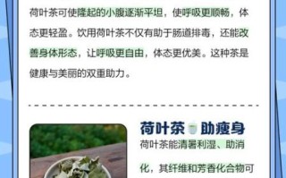 荷叶泡水能减肥吗_荷叶茶的功效与作用