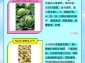 甘蓝科蔬菜有哪些_甘蓝科蔬菜营养区别