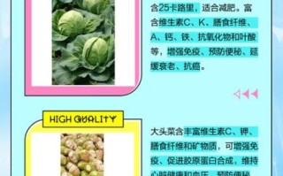 甘蓝科蔬菜有哪些_甘蓝科蔬菜营养区别