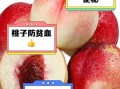 蜜枣桃是什么水果_蜜枣桃和蜜桃区别