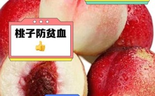 蜜枣桃是什么水果_蜜枣桃和蜜桃区别