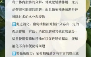 葡萄柚精油的功效与作用_怎么用效果最好