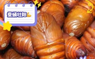 开边蚕蛹怎么做好吃_开边蚕蛹的营养价值
