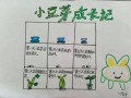 豆芽观察日记七天带图_如何记录生长细节