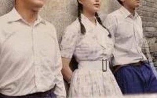 蛋炒饭黄渤在线观看免费_哪里能看完整版