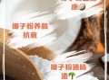长期喝椰子粉有什么副作用_椰子粉每天喝多少才安全