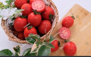 how_to_make_tomato_egg_stir_fry_in_english